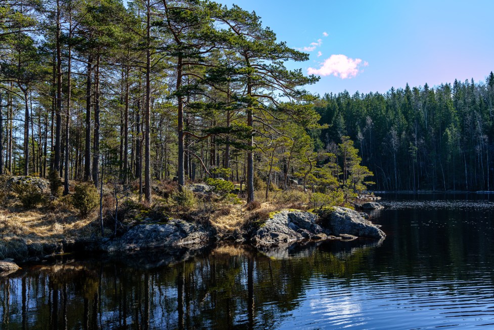 Tur til Angerstjern – Pensjonisten